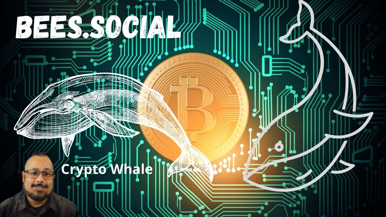 What exactly is Ethereum? An Introduction for the Ethereum Blockchain | Illini Itec