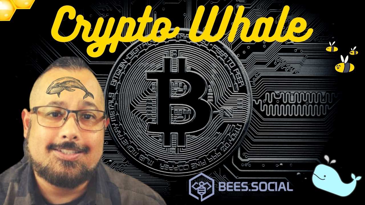 What is Web3? Beginners Guide on Blockchain, Decentralized Web and ...